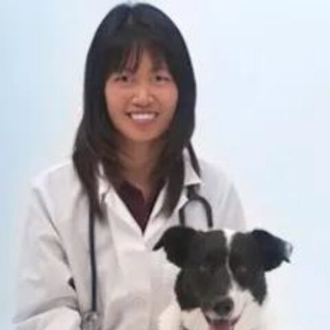 PETS Referral Center Our Team