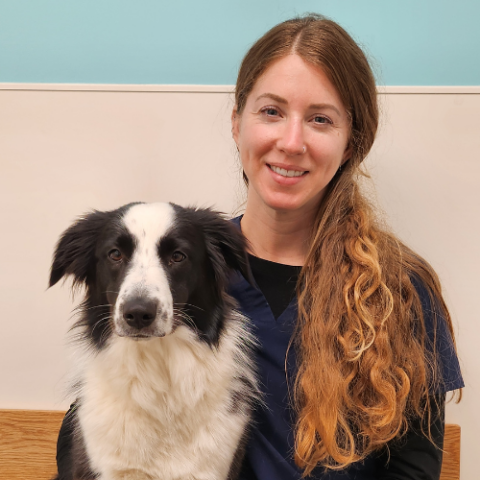 PETS Referral Center Our Team