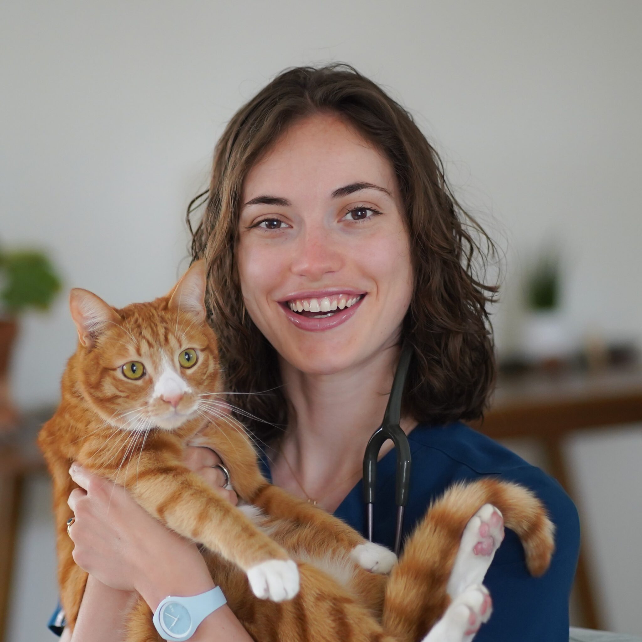 PETS Referral Center Our Team